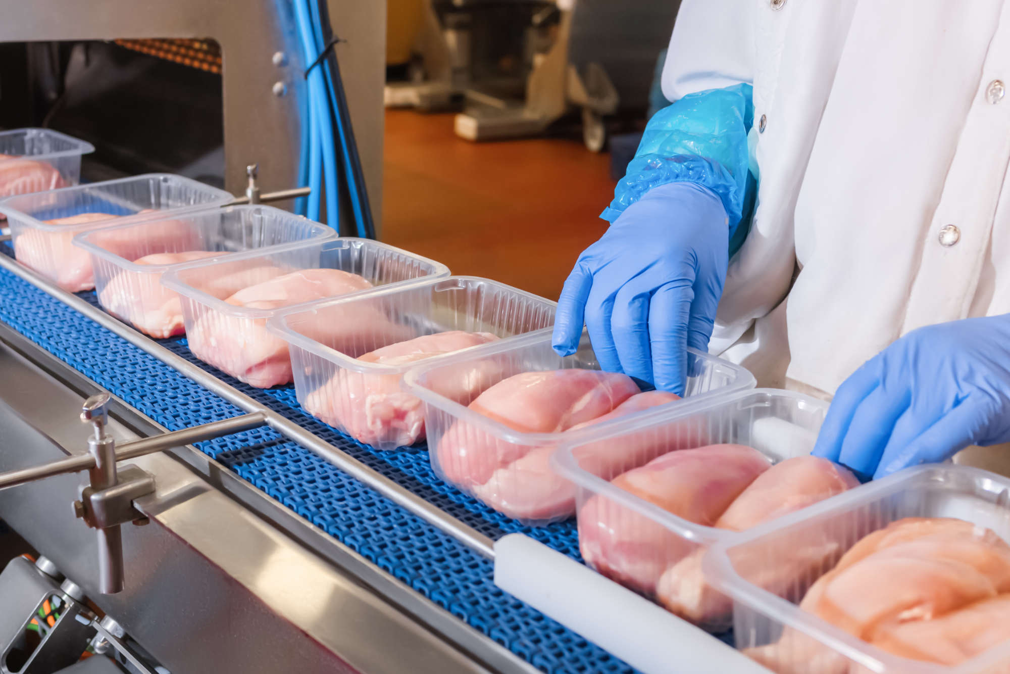 Automating Inspection of Butterfly Chicken Breasts | KPM Analytics Automating Inspection of Butterfly Chicken Breasts | KPM Analytics